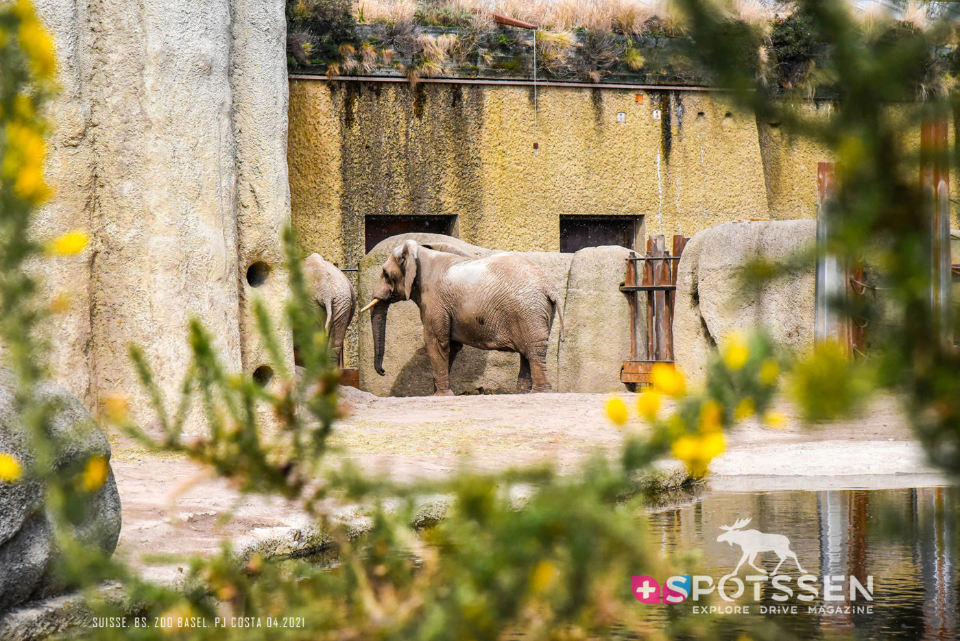 Suisse. BS. Zoo de Bâle | Spotssen. Magazine.